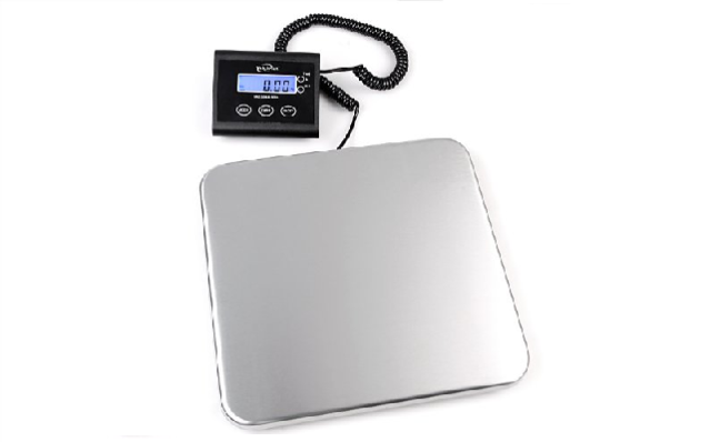 Digital Scale – 300 Pound Max | Dollar Moves | Creating Your